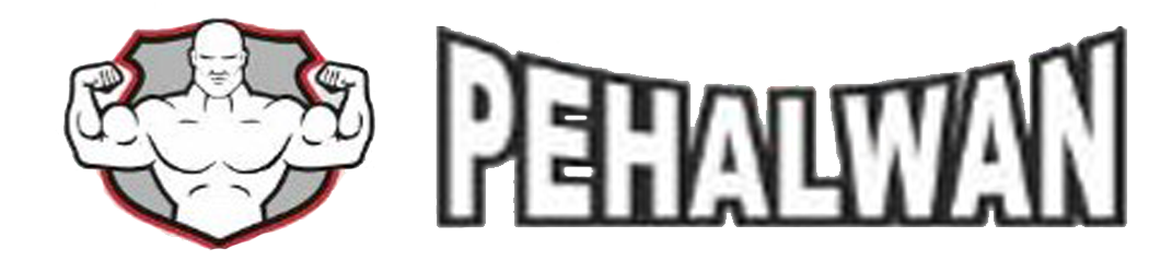 Pehalwan – EV vehicle Manufacturer